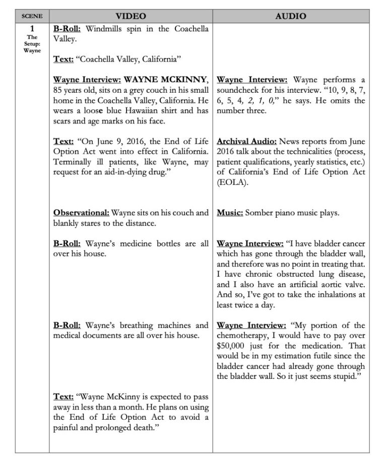 How To Write A Documentary Script – Flixels Films